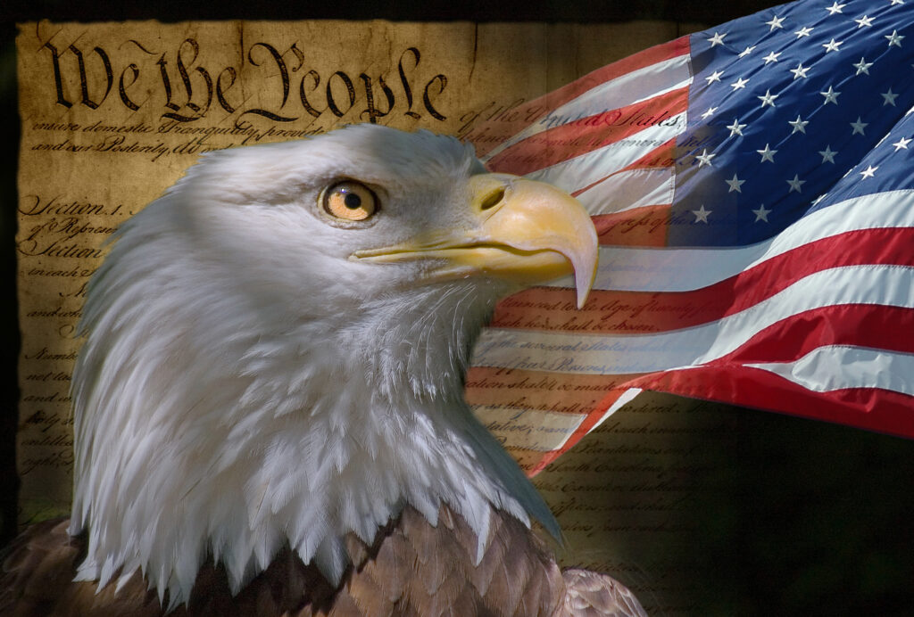 ABOUT - Restore Liberty